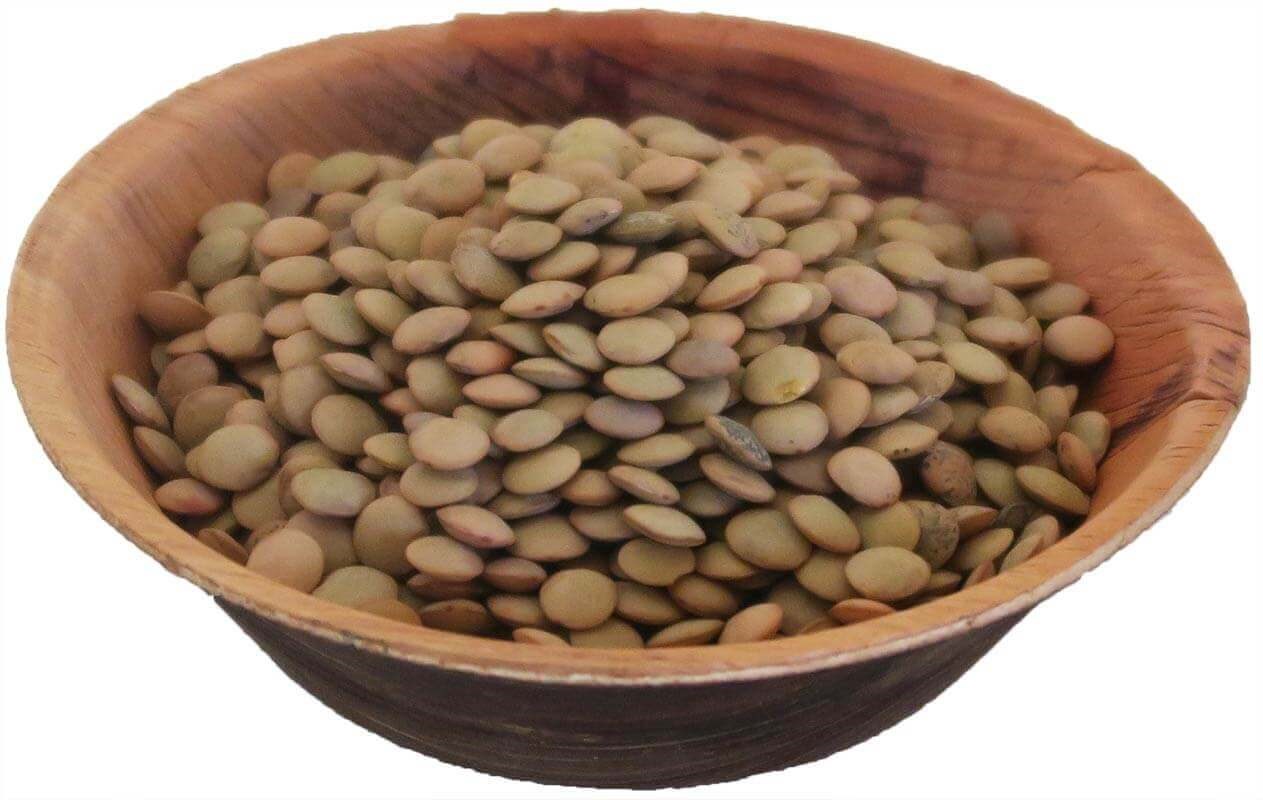 Vihreä linssi 25 kg | Pavut ja linssit | Ruoka | Kaikki tuotteet | Aduki Oy